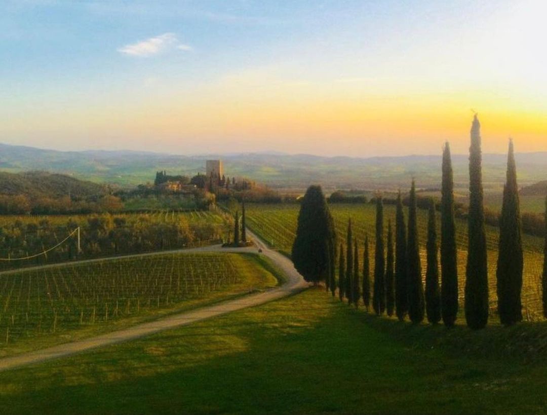 Castello di Argiano Sesti - Umění vína